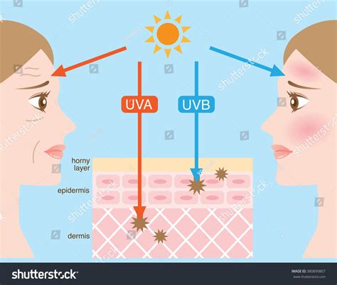 Ultraviolet Rays Stock Vector Shutterstock