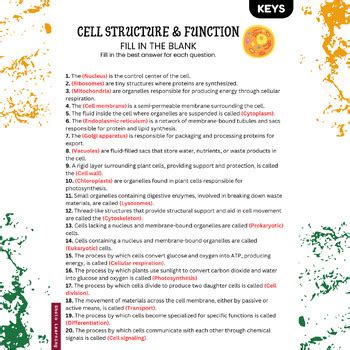 Cell Structure Function Fill In The Blank Worksheet Reinforce Biology Concept