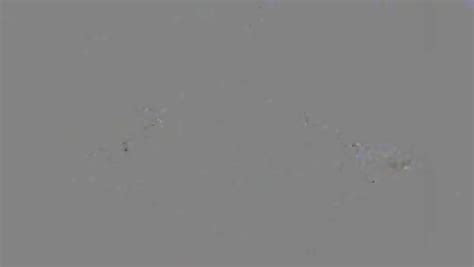 Interracial Eporner Interracial Eporner