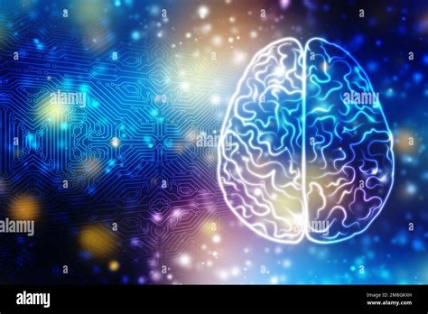 Human Brain 2d Illustration Digital Illustration Of Human Brain