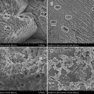 SEM Image Of Normal Concrete A C And EcoN Concrete B D A B And C D Download Scientific
