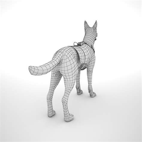 Belgian Malinois Combat Harness 3d Model Turbosquid 1246333