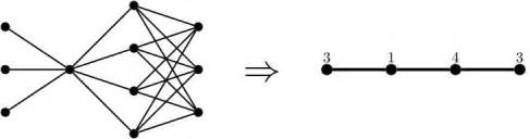 Combinatorics Does The Notion Of Graph With Vertex Multiplicity Exist