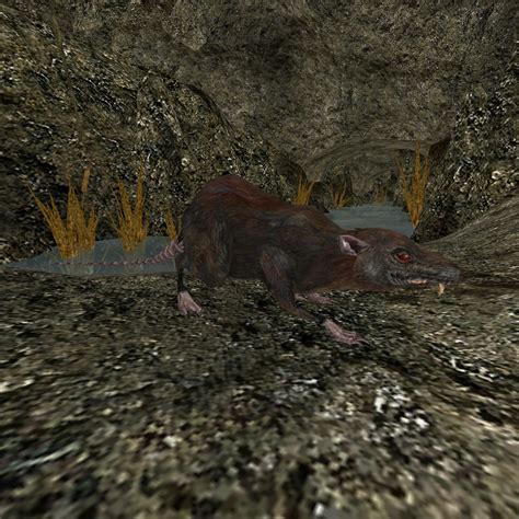 Tamriel Data Rat Uesp Wiki The Unofficial Elder Scrolls Pages