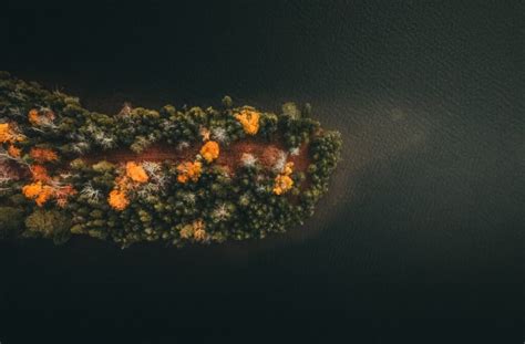 Assignment代写 Stat代写 统计学 经典案例🍐