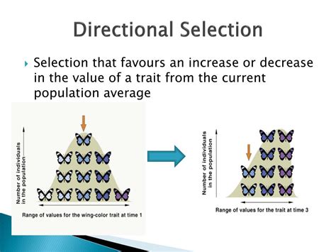 Ppt Natural And Artificial Selection Powerpoint Presentation Free