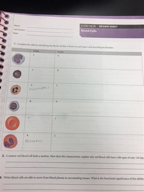 Solved Name Lab Section Date EXERCISE REVIEW SHEET Chegg