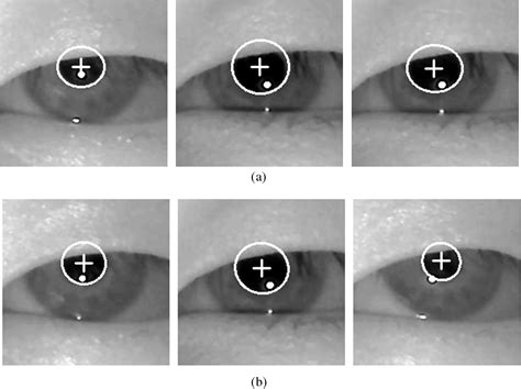 Binocular Gaze Detection Method Using A Fuzzy Algorithm Based On