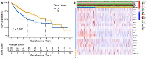 Association Of Hepatocellular Carcinoma Molecular Subtypes With