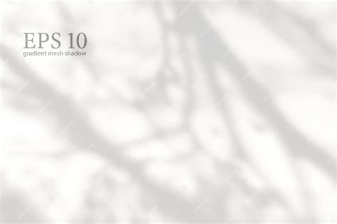 투명 천연 식물 그림자 조명 효과 오버레이 메쉬 그리드 나뭇가지의 그림자 식물 단풍과 지상에 나뭇잎 프레젠테이션 디자인 카드