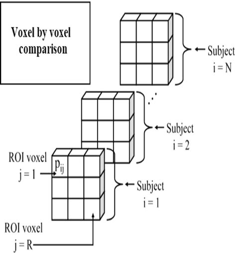 Voxel To Voxel Comparison In Vrn Download Scientific Diagram