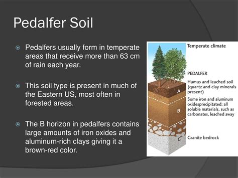 Ppt Earth Science 52 Soil Powerpoint Presentation Free Download