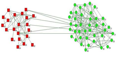 bottlenose dolphin network [46] download scientific diagram