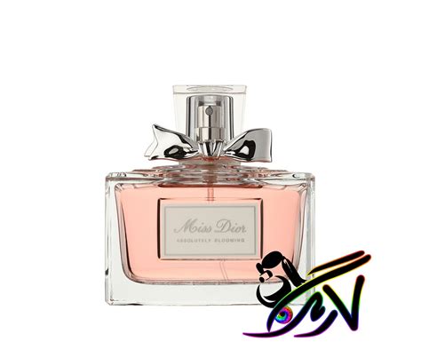 تاریخچه برند دیور