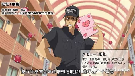 《工作细胞》 带你认识一群萌萌哒的细胞！ 知乎