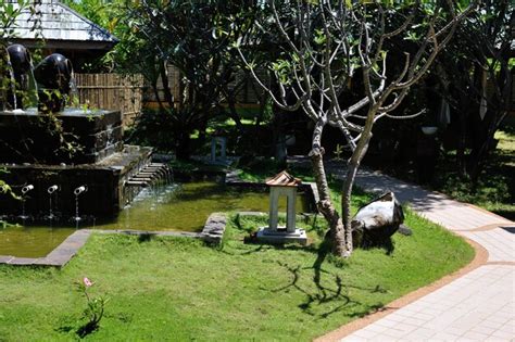 Premium Photo Spa Beauty And Massage Center Indoors Outdoor