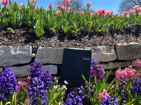 Lila Notebook S Official Lilanotebook • Instagram Photos And Videos