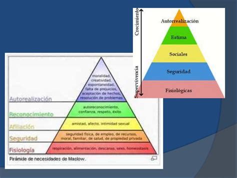 Descubre La Teoría De Los Valores De Scheler Una Perspectiva