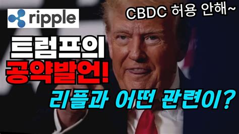 리플 트럼프 공약에 리플이 포함 Youtube