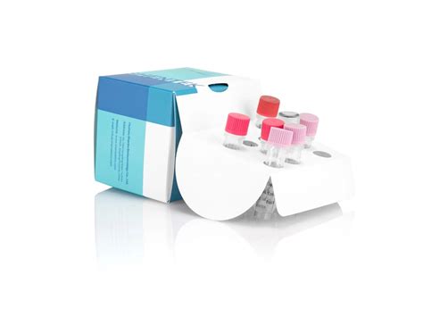Shentek Residual Cho Dna Quantitation Kit
