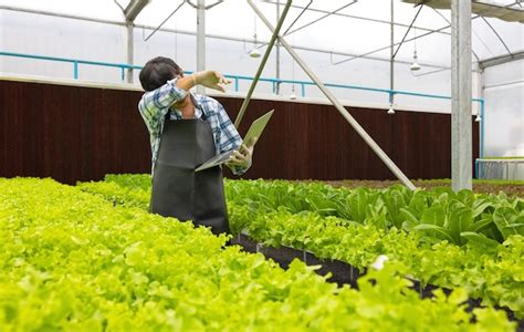 Premium Photo In A Greenhouse Environment An Agricultural Researcher
