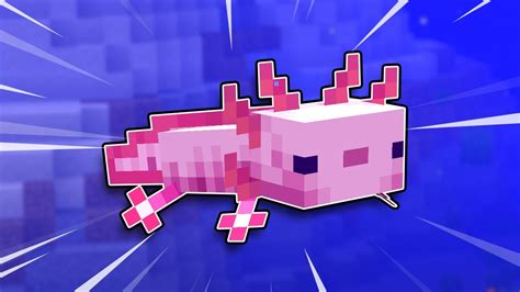 Do Axolotls Need Air Minecraft Shalfeiのblog