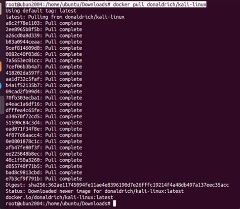 Docker And Container Security Penetration Testing On Docker And Container Pentest Diaries