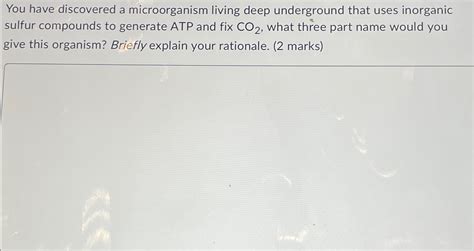Solved You Have Discovered A Microorganism Living Deep