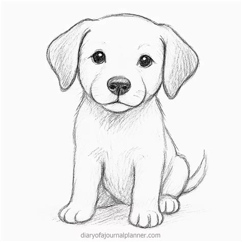 Cute Puppy Drawing Easy And Beautiful