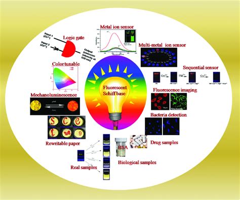 Practical Applications Of Fluorescent Schiff Base Sensors Download Scientific Diagram