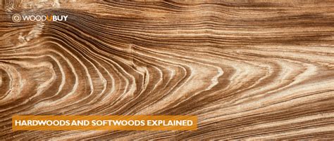 Planed Wood Explained Difference Between Pse And Par
