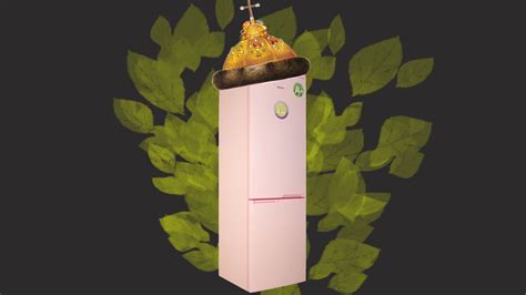 Достойный ответ Атланту. Недорогие российские холодильники Don ...