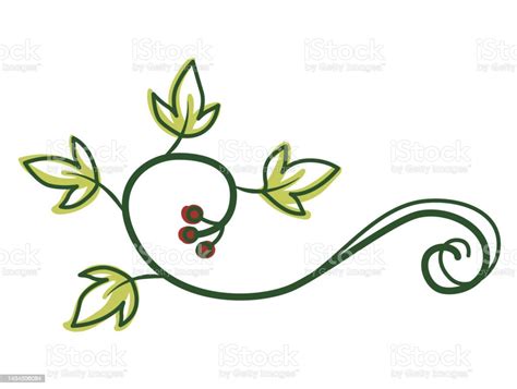 녹색 텍스트 구분선 페이지 구분 기호 디자인 라인 경계 월계관 식물이있는 유기 프레임 꽃 장식 요소 자연 번성 흰색에 고립 된 곡선 벡터 컬렉션 0명에 대한 스톡 벡터 아트