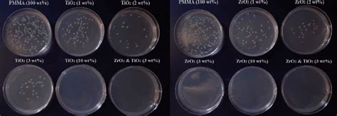 This Figure Shows The Colony Forming Units Cfu Of S Aureus Bacteria Download Scientific