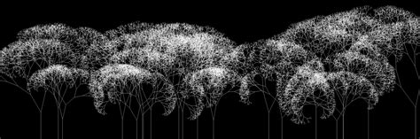 Github Fraserlovealgo Lab A Collection Of Algorithms Simulations