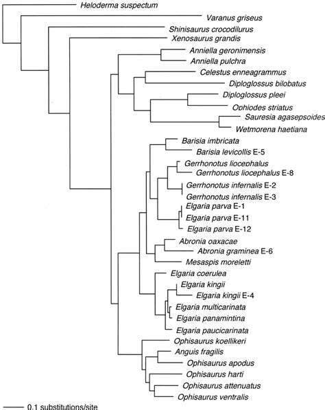 Likelihood Analysis Results Of A Maximum Likelihood Heuristic Search Download Scientific