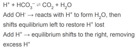 Chapter 21 Buffers And Neutralisation Flashcards Quizlet