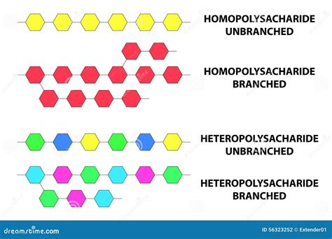 Cellulose Polysaccharide Molecule Sheet Of Paper In A Cage Structural Chemical Formula Cartoon