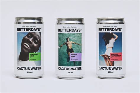 Stay Cool Flux Branding