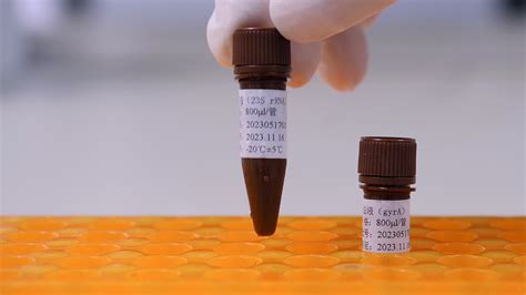 Gastric Fluid Sampling Dna Extraction And Qpcr For H Pylori Detection And Its Antibiotic