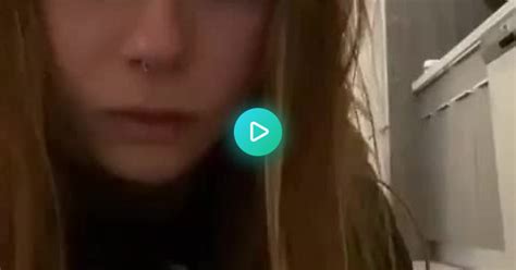 Get Stick Bugged Album On Imgur