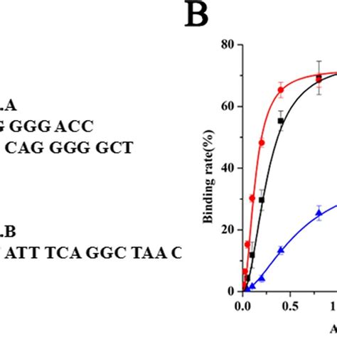 Aptamer Secondary Structure Simulation And Kd Determination A The