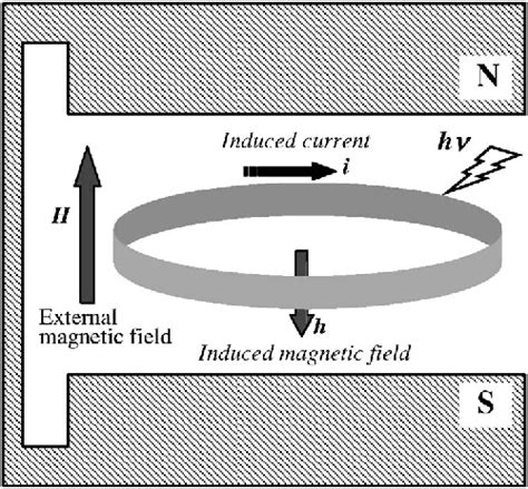 Pdf Symmetry Adapted Clustersymmetry Adapted Cluster Configuration Interaction Methodology