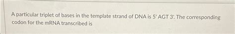 Solved A Particular Triplet Of Bases In The Template Strand