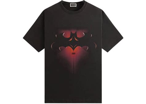 Logo De Robin Et Batman Robin The New Adventures Of Batman