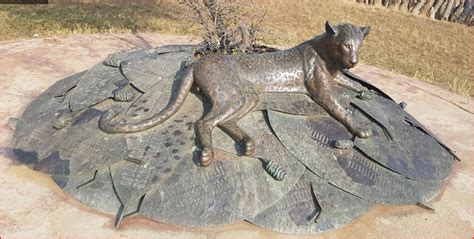 Msinga Local Municipality South African History Online