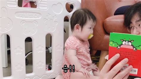 말귀 알아듣는 아기 아빠의 조기교육 Youtube