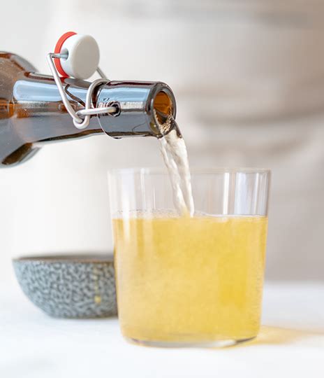Homemade Ginger Beer Recipe Non Alcoholic Bryont Blog