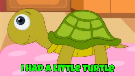 Tiny Tim Turtle Clipart