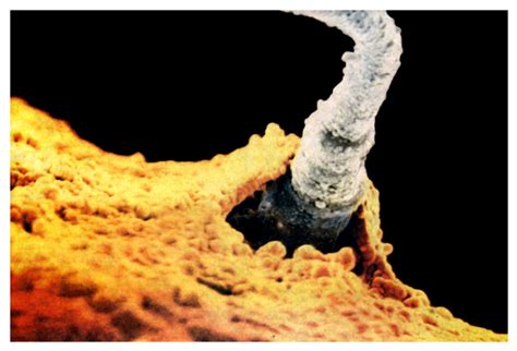 මාඩා ගේ අම්බලම Sex බලලම යන්න හැම කෙනෙක්ටම ඕං